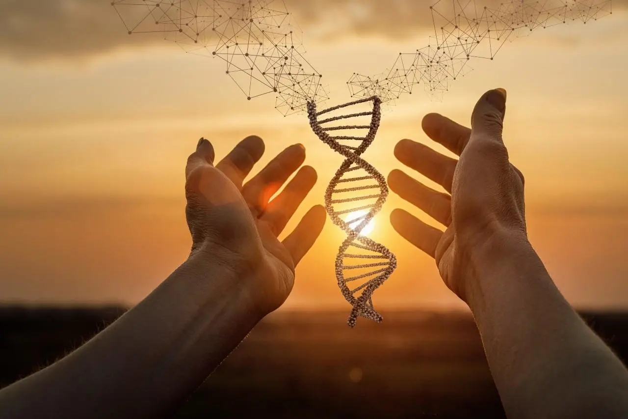 How DNA Makes Us Who We Are