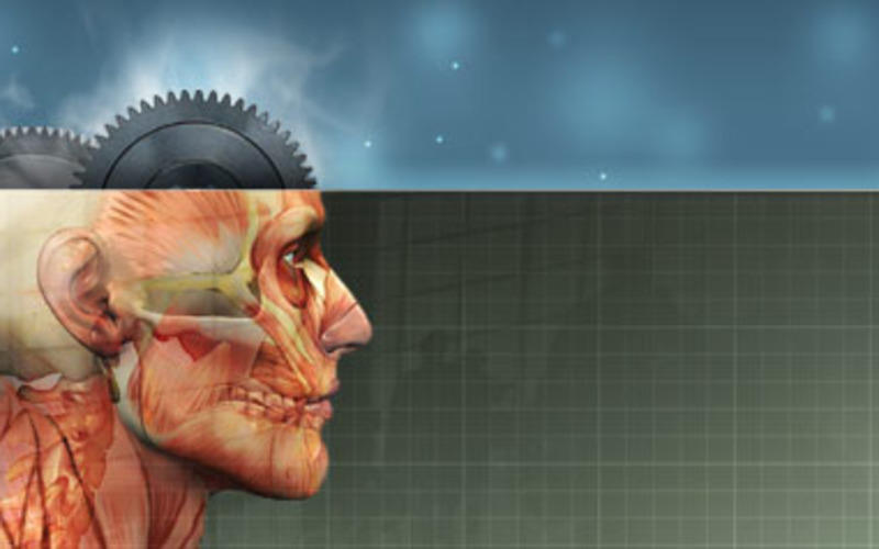 Beyond the Machine: Metaphors of the body