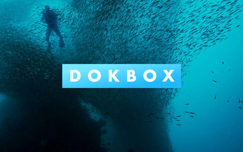 Introducing...DOKBOX » IAI TV