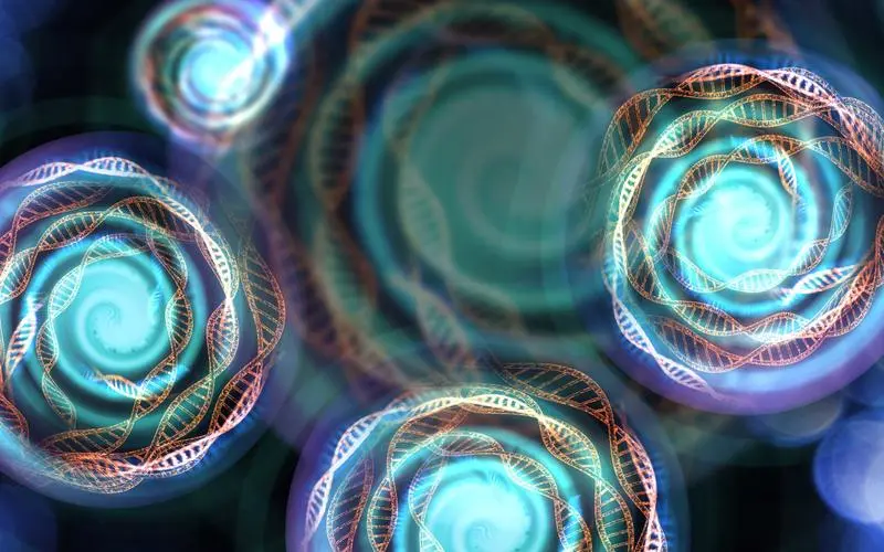 The seduction of the multiverse | John Horgan » IAI TV