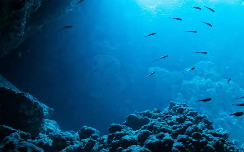 The ocean is the engine of the Earth | Helen Czerski » IAI TV
