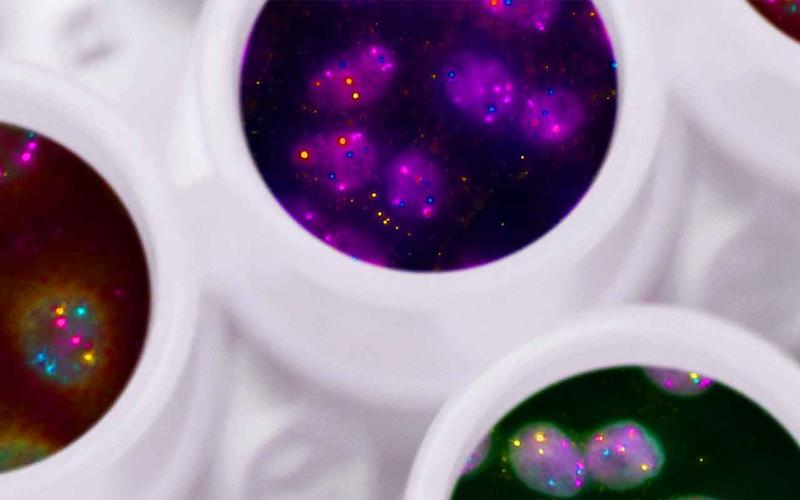 The myth of value-free science | Melanie Challenger » IAI TV