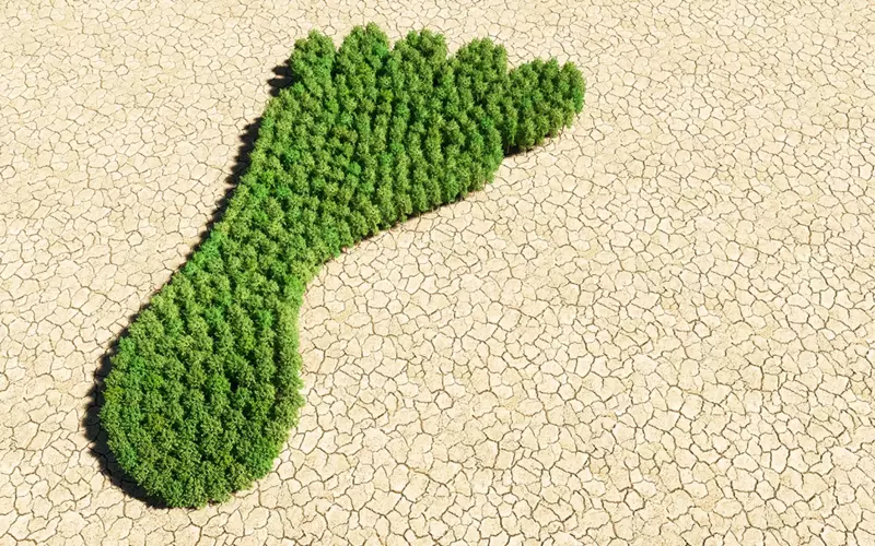 The Anthropocene is bigger than climate change