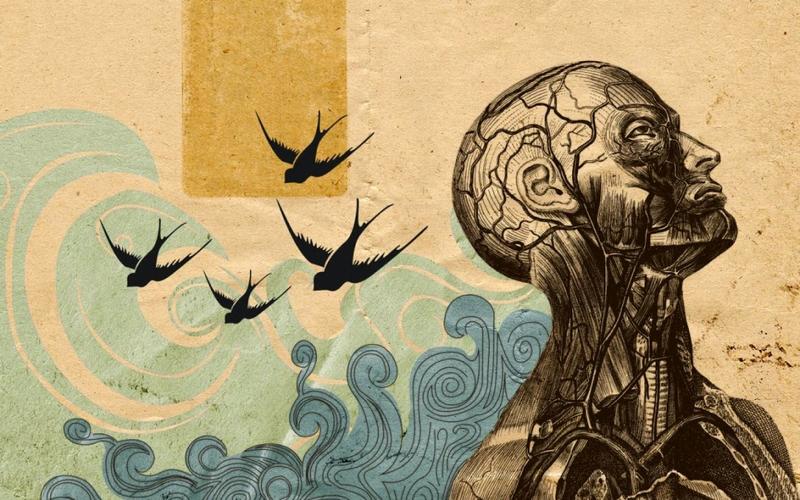 The Limits of Freedom