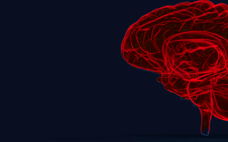 The right brain is essential to creativity | Iain McGilchrist » IAI TV