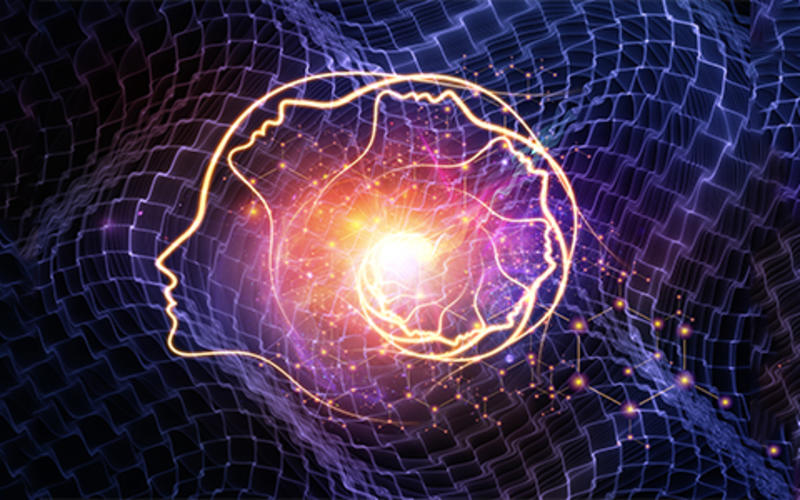 A history of the conscious world