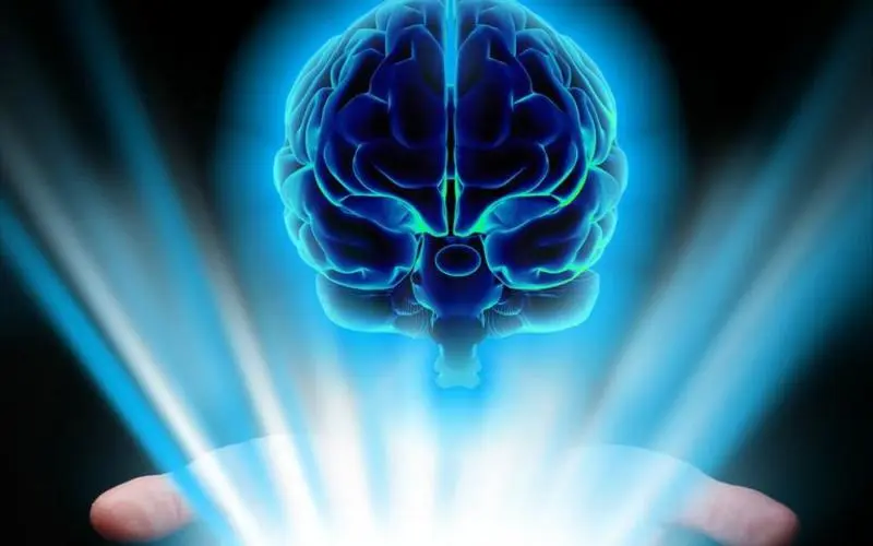 The Problematic Rise of Big Neuro » IAI TV