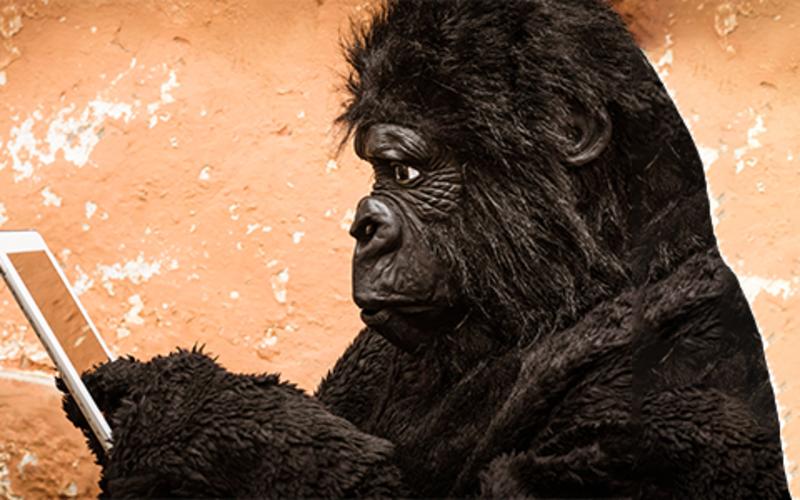 Digital Apes | Nigel Shadbolt