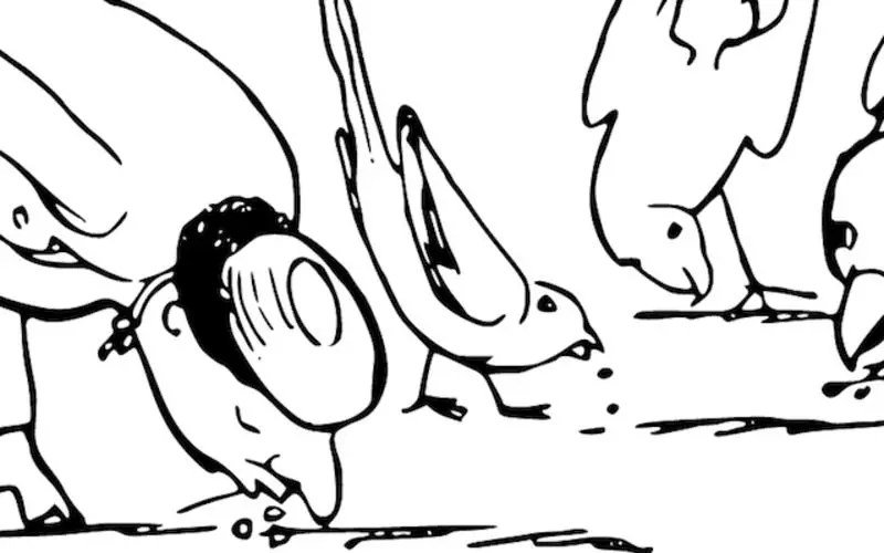 On Rationality and Nonsense - Matthew Bevis » IAI TV