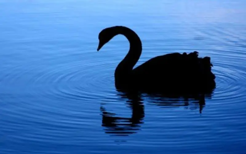 Loneliness and the politics of ageing: 3 questions with Esther Rantzen ...