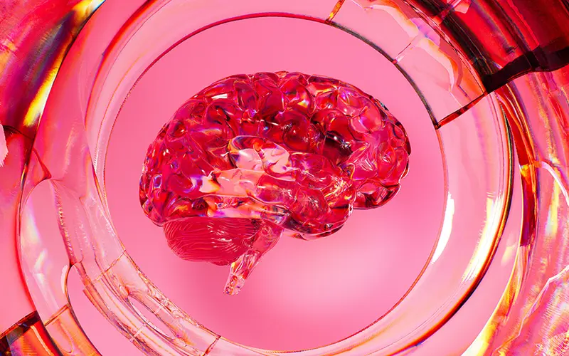 Neuroscience needs a new paradigm: the brain is not a machine | Nicole ...