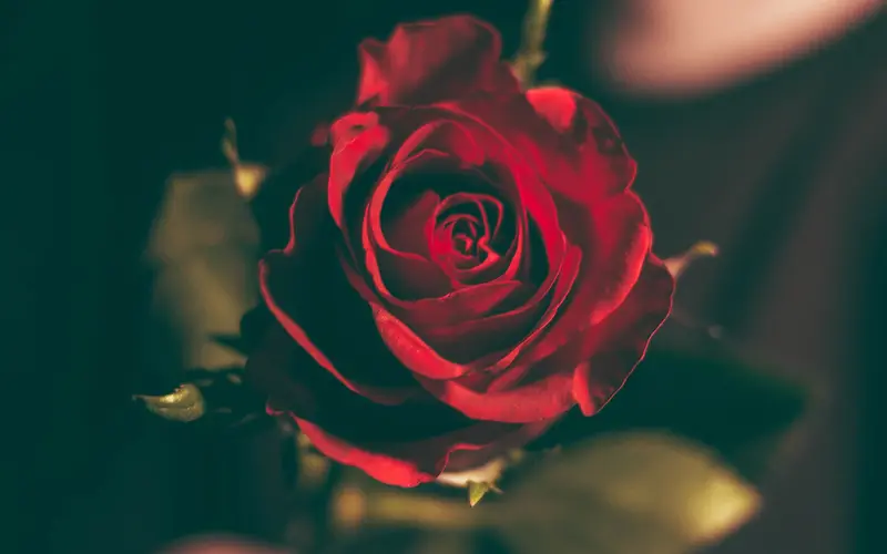 Science gets sexual experience dangerously wrong | Paul Giladi » IAI TV