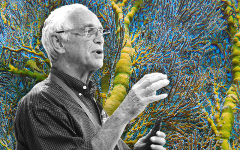 The mystery of living things | Addy Pross » IAI TV