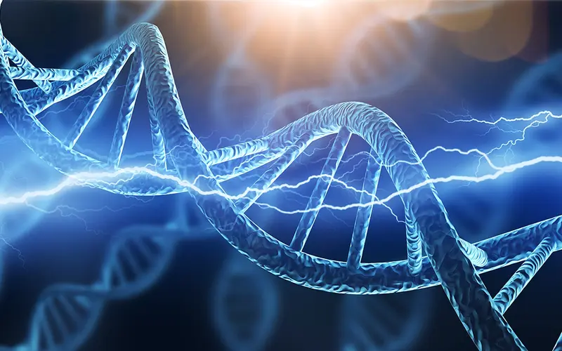 The flaws in the blueprint of life | Omari Edwards » IAI TV