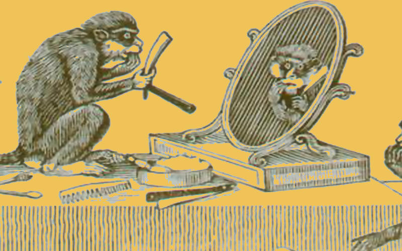 To be human is to be animal | Eric T. Olsen » IAI TV