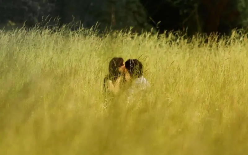 Love, Life and Being Free