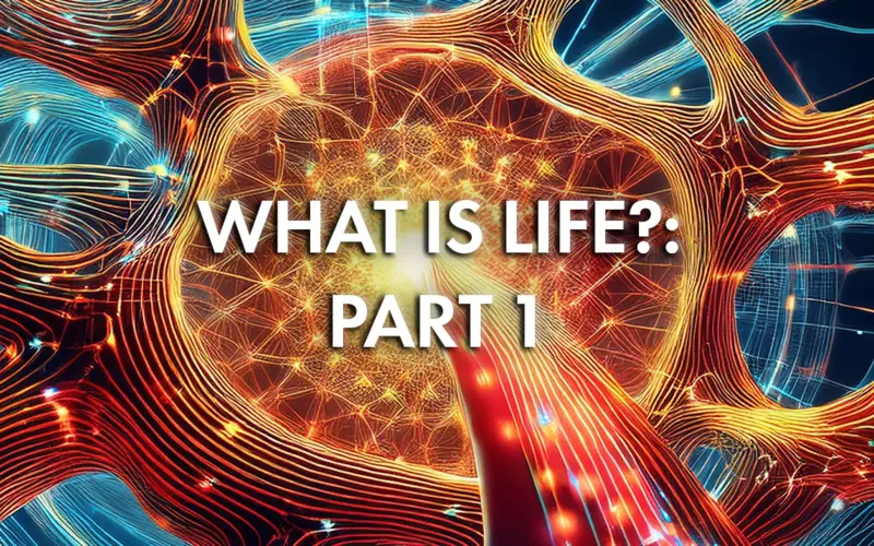 Patterns are alive, and we are living patterns | Michael Levin » IAI TV