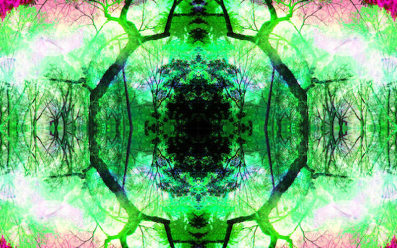 The Science of Psychedelics | David Nutt