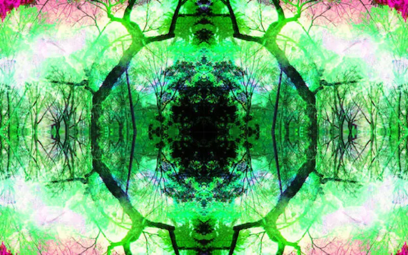 The Science of Psychedelics | David Nutt