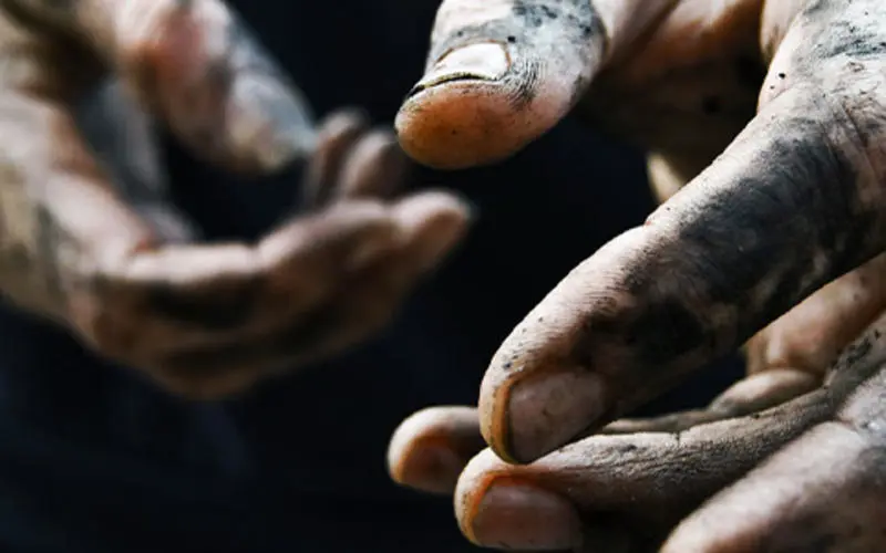 The Science Of Consciousness Anil Seth Interview