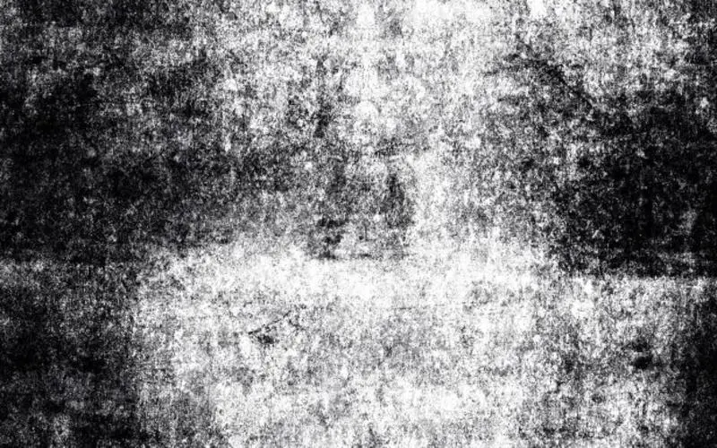 The paradox of corruption | Robert Sparling » IAI TV