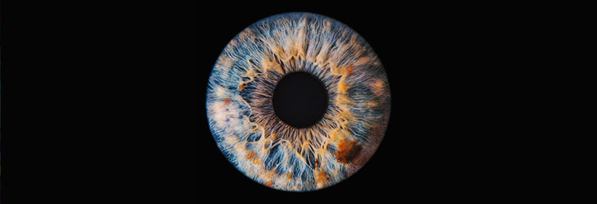 Looks are not superficial | David Egan » IAI TV