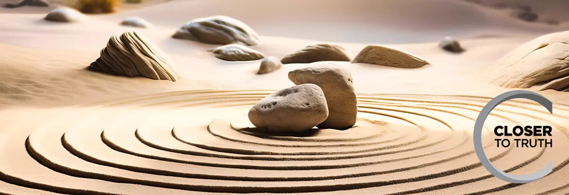 Consciousness came before life » IAI TV