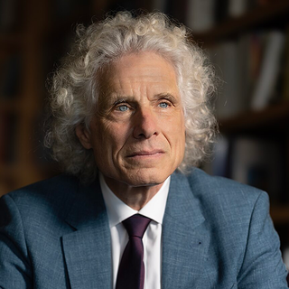 The Decline of Violence: Steven Pinker's Theory