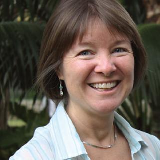 The New Enlightenment