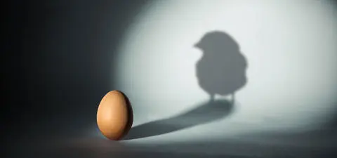 The mystery of emergence | Suchitra Sebastian, Philip Goff, Hilary Lawson