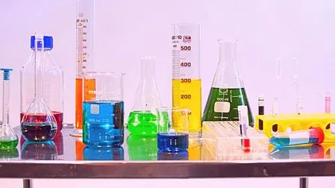 The bias paradox | Joseph Muggs, Muhammad Ali Khalidi » IAI TV