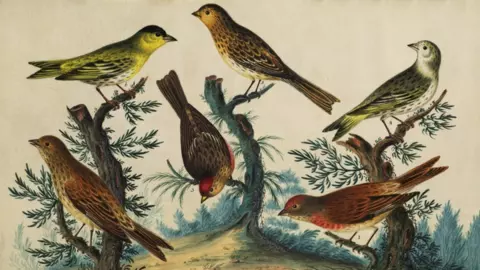 There's more to evolution than genes | James Shapiro » IAI TV