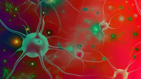 Quantum collapse holds the key to consciousness » IAI TV