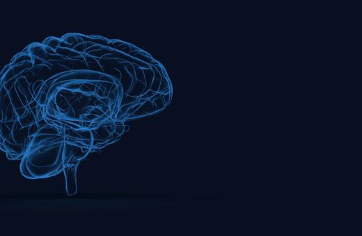 The Great Right Brain Debate | Scott Barry Kaufman, Iain McGilchrist ...