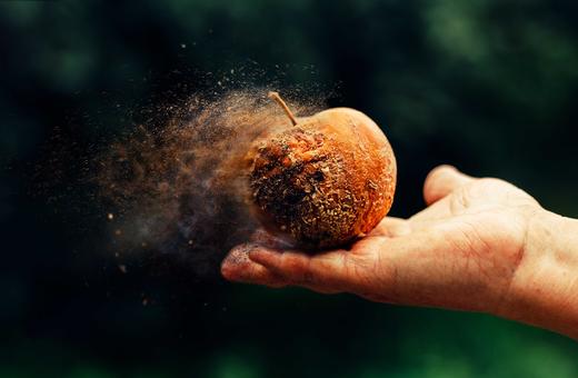 String theory is dead | Peter Woit » IAI TV