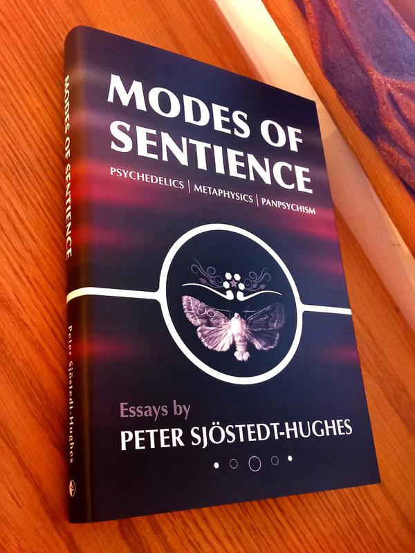 Consciousness and higher spatial dimensions | Peter Sjöstedt-Hughes ...