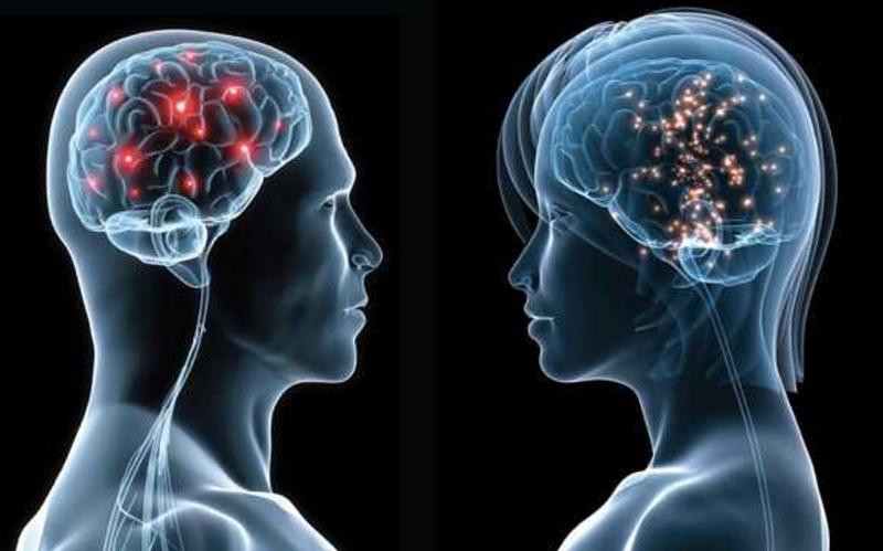 Physical & Psychological Differences Between Men & Women | Lewis Wolpert Physical & Psychological Differences Between Men & Women | Lewis Wolpert